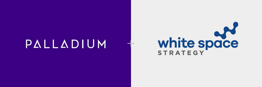 Palladium Group Logo Casual Data Entry & Scheduling Assistant