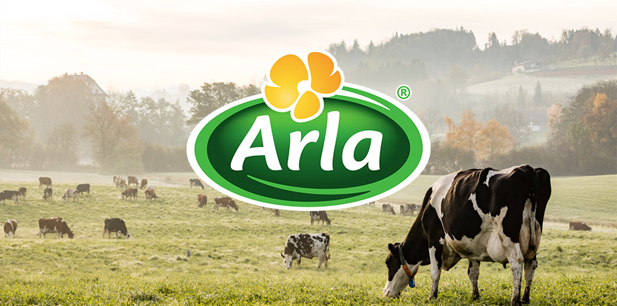 Arla Foods Logo Arla — Insight Angels